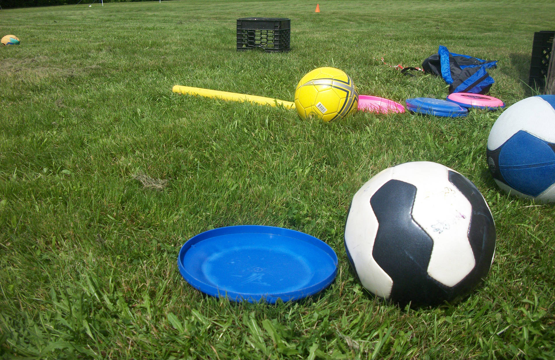 Games For BBQs BBQ Party Games Ideas For Adults Gardening Latest Games For BBQs BBQ Party Games Ideas For Adults Gardening Latest