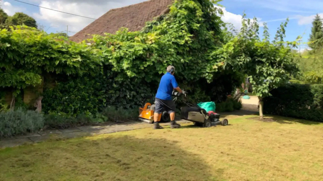 Scarify Lawn | Why do you scarify your lawn? - Gardening Latest