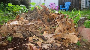Cold Composting | The Cold Composting Method - Gardening Latest