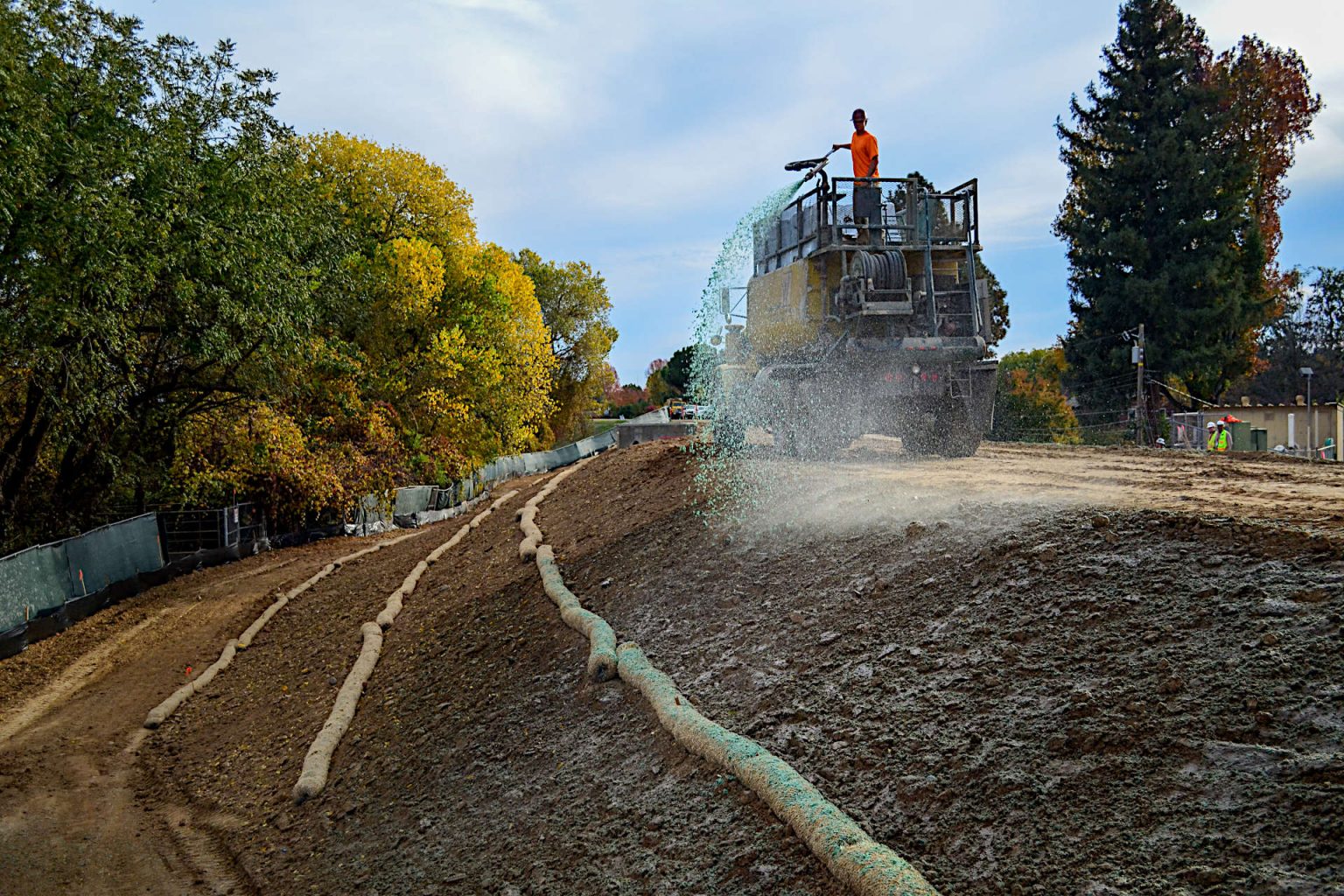 Sod vs Hydroseed: What are the Differences and Which is The Right ...