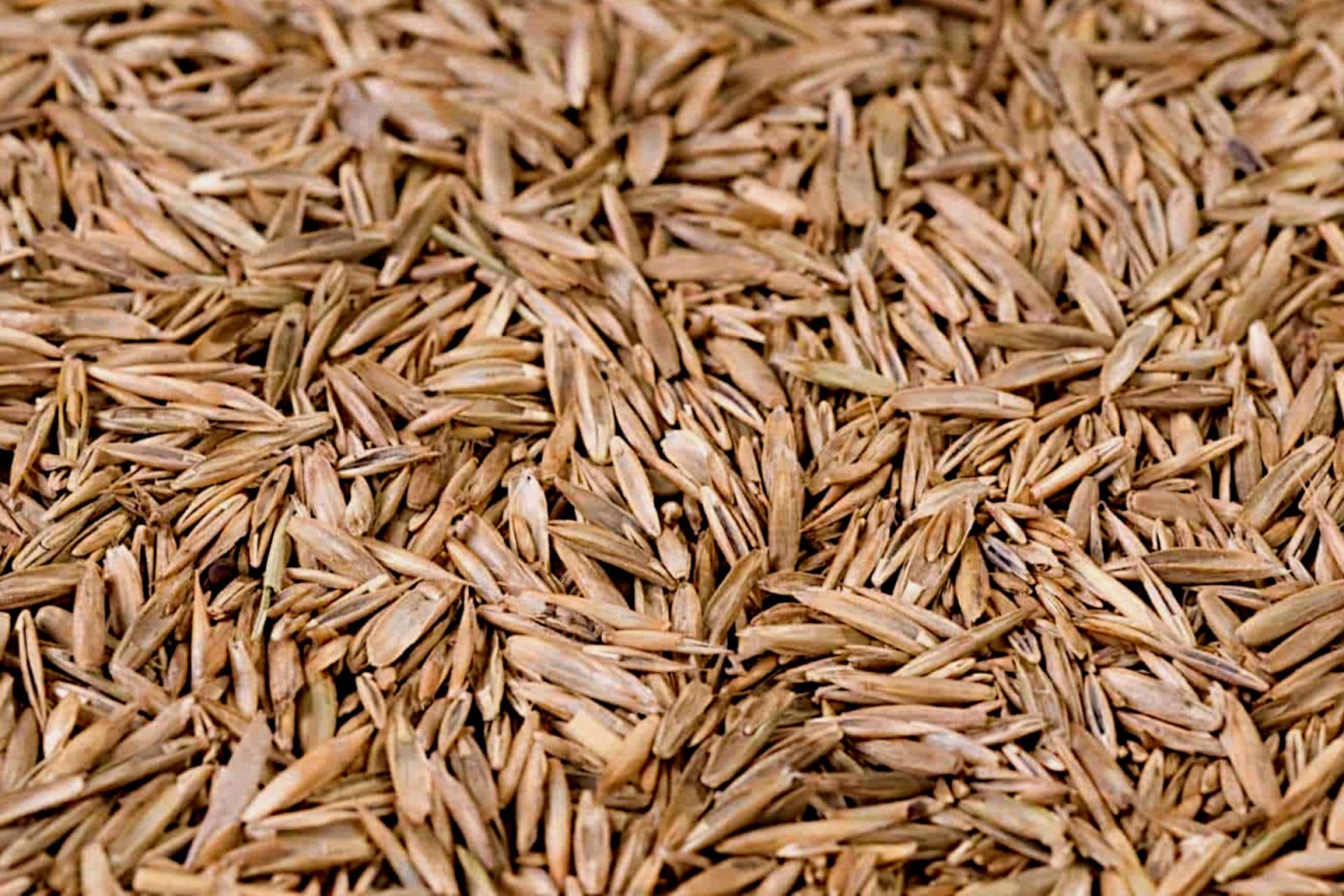 What Is in a Hydroseeding Mixture? Choosing the Right Mix - Gardening ...