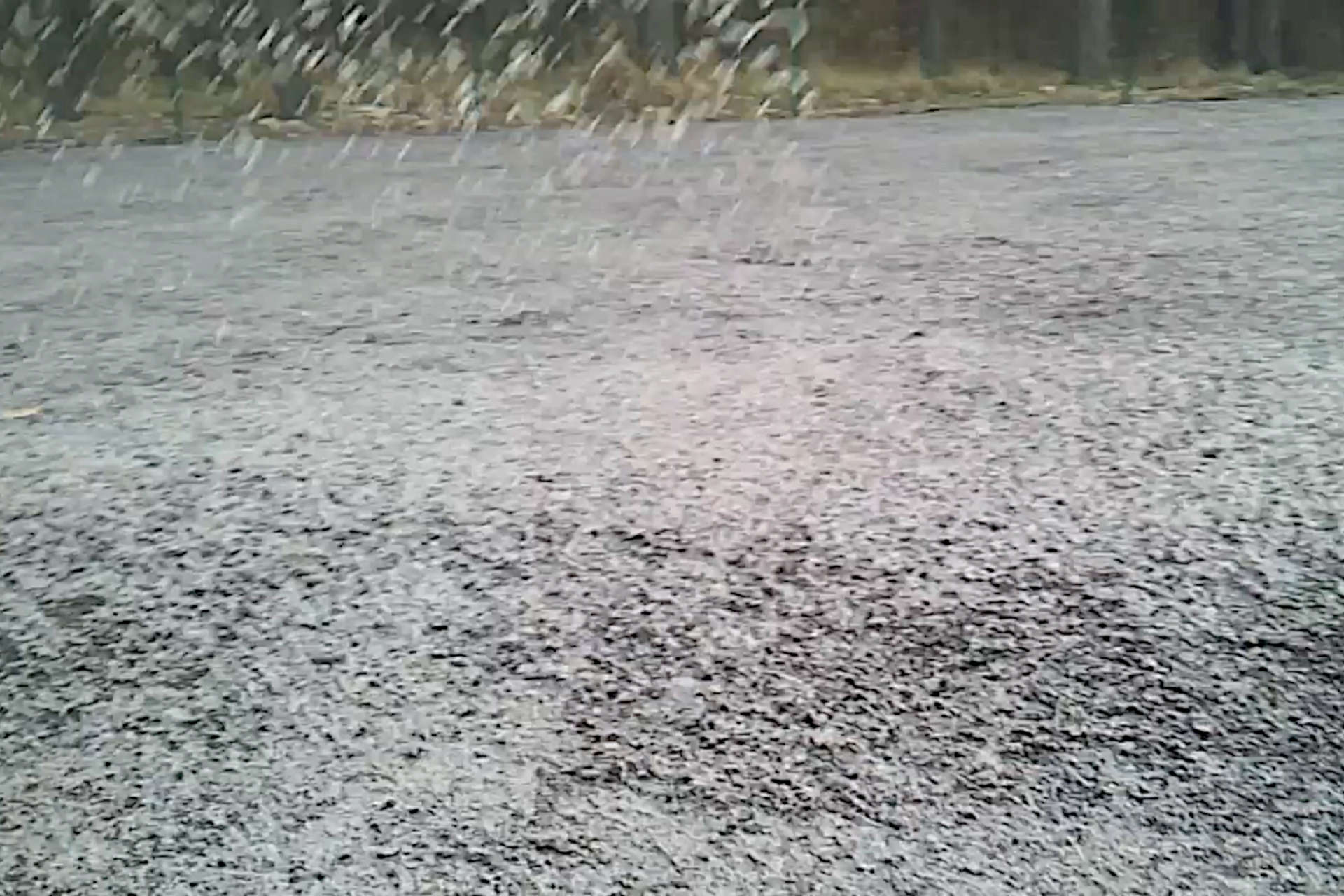 Hydroseeding Spraying Techniques: Is the Spraying Method Important ...