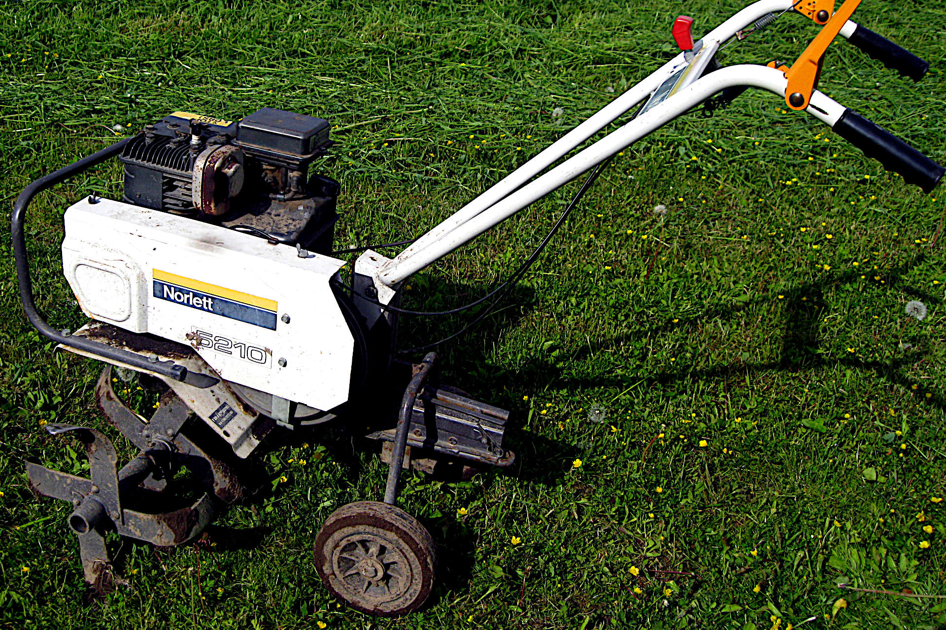 Should You Rototill Your Lawn Before Seeding - Gardening Latest