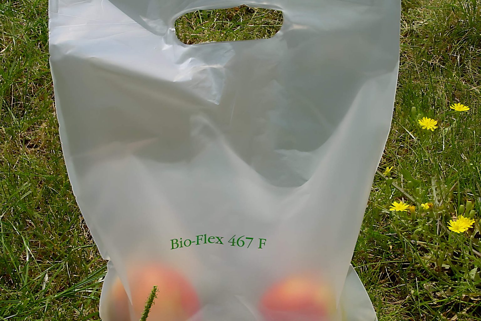 Composting PLA: How Do You Compost PLA - Gardening Latest