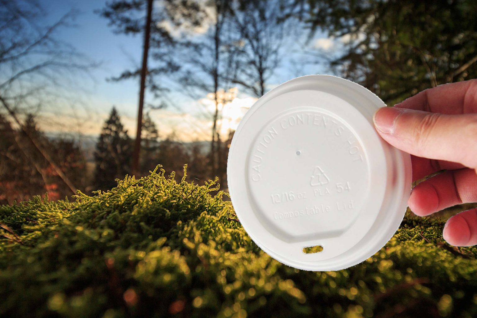 Composting PLA: How Do You Compost PLA - Gardening Latest