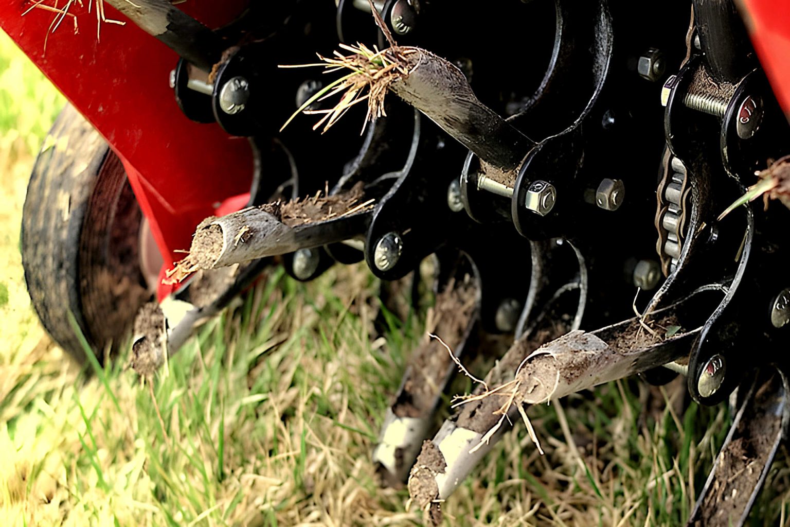 Should You Rototill Your Lawn Before Seeding - Gardening Latest