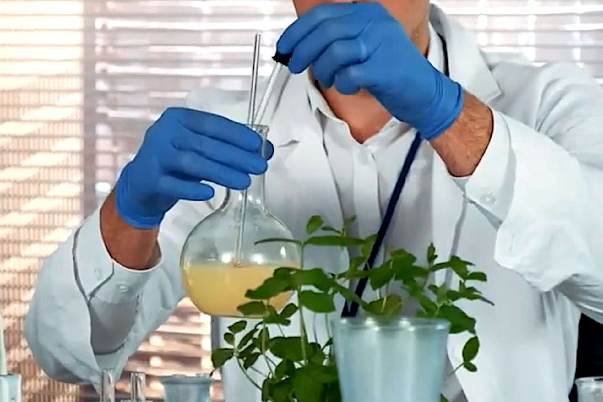 Nutrient Solution for Semi Hydroponics - Fertilizing Your Houseplants ...