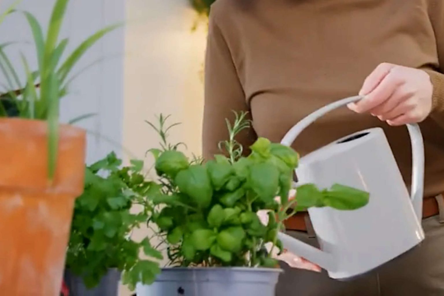 Nutrient Solution for Semi Hydroponics - Fertilizing Your Houseplants ...