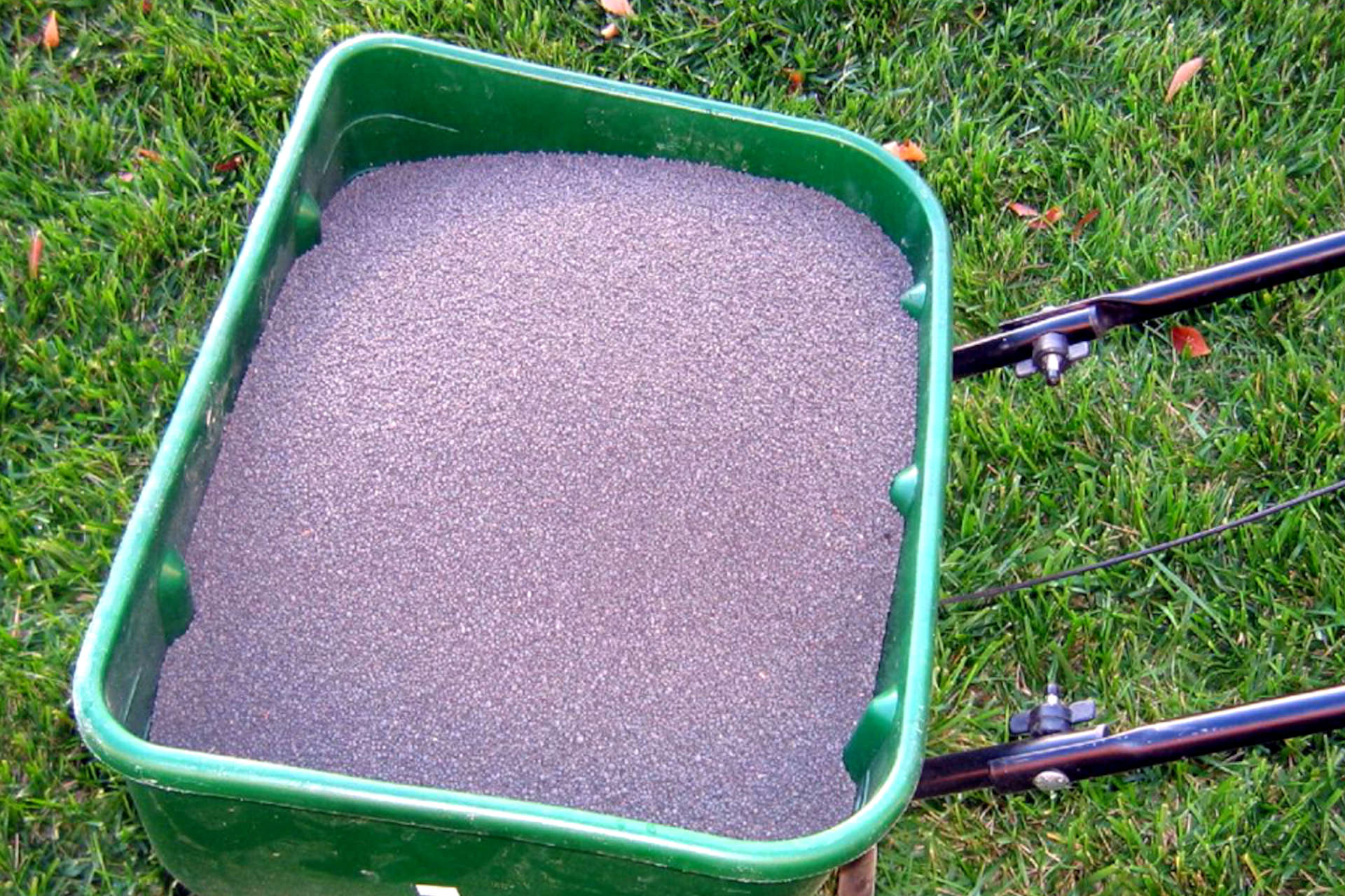 Best Fertilizer Ratio For New Grass Seed at Wayne Calvert blog