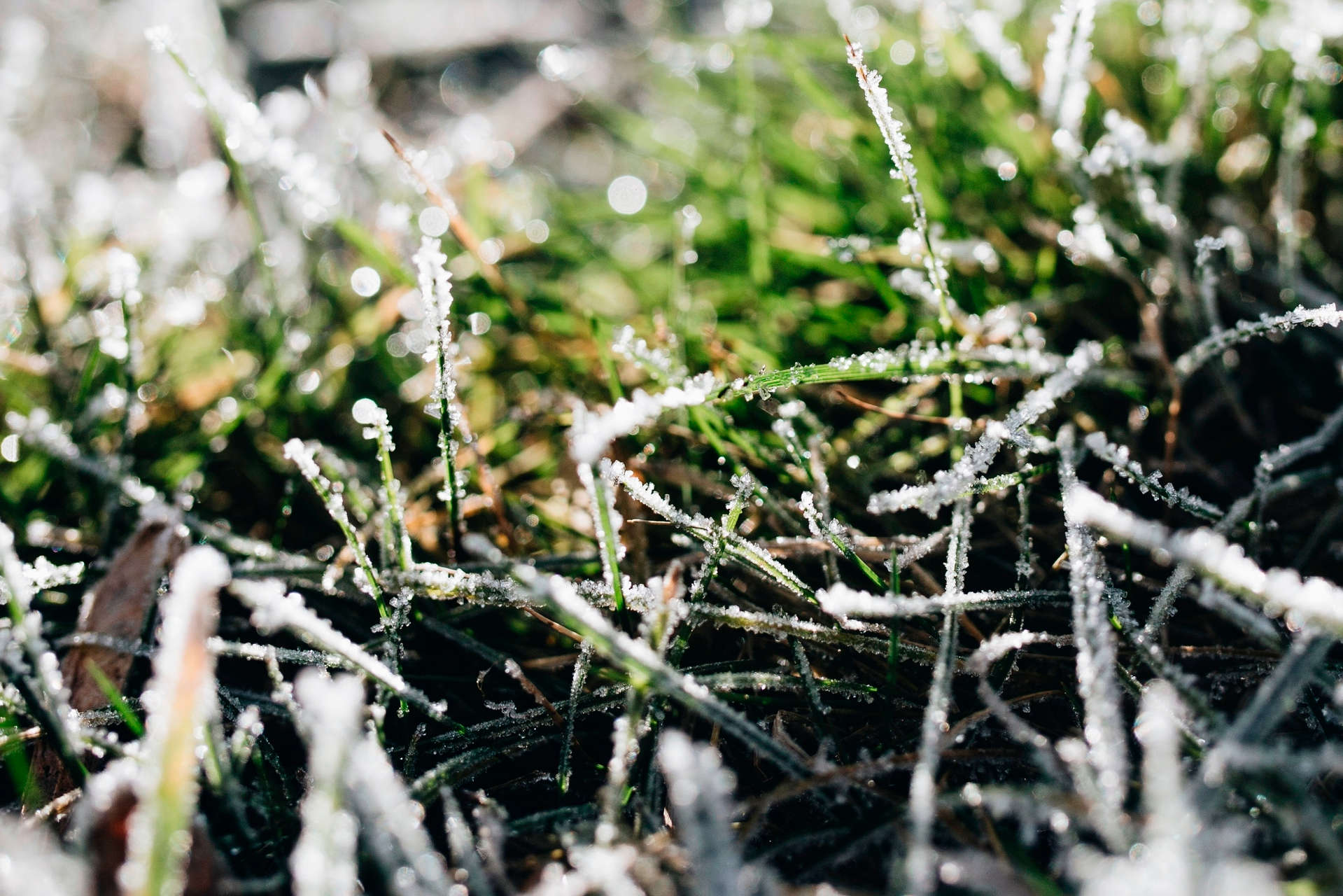 Winter Fertilizer Numbers Explained - Gardening Latest