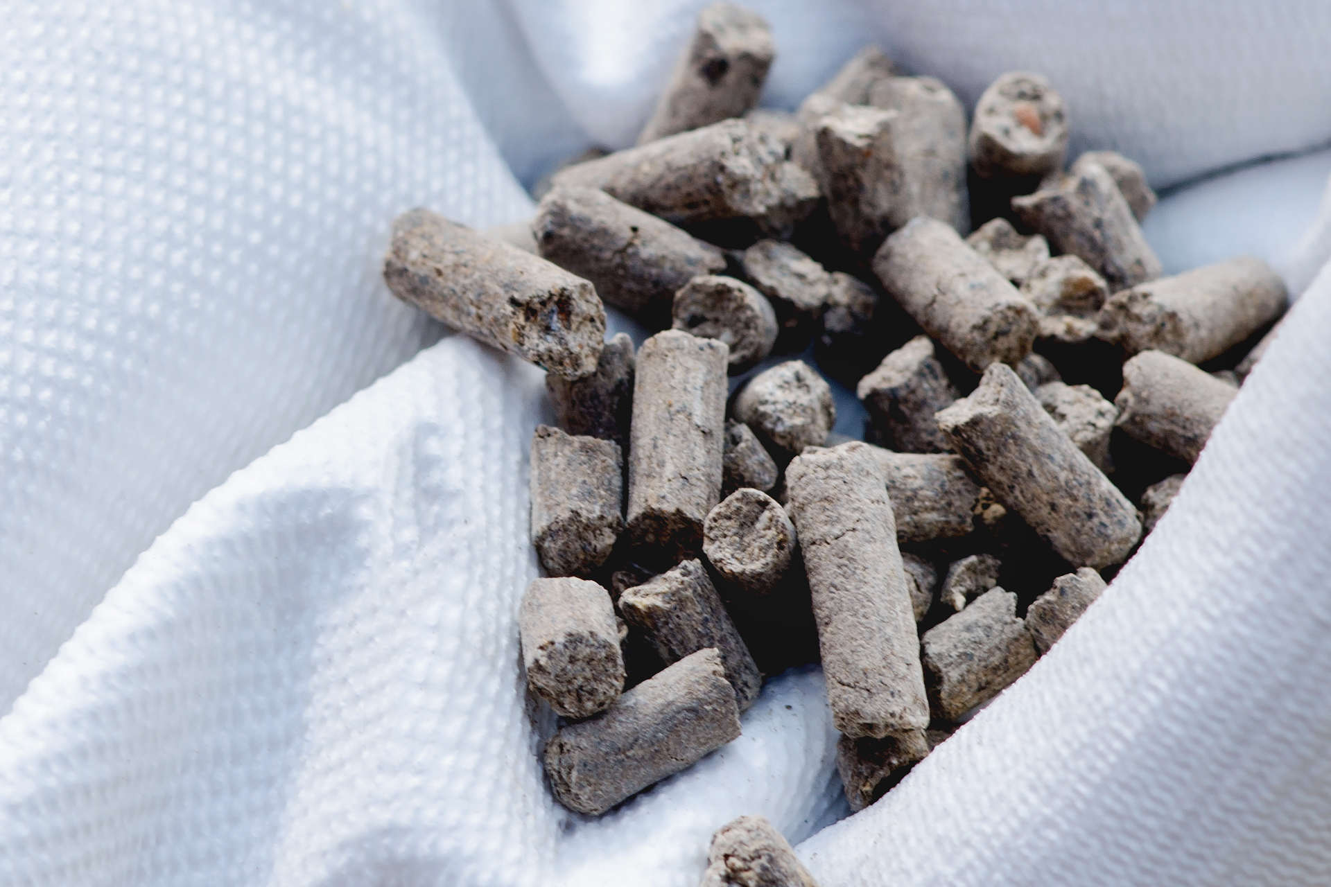 How Long Does It Take for Granular Fertilizer to Dissolve - Gardening ...