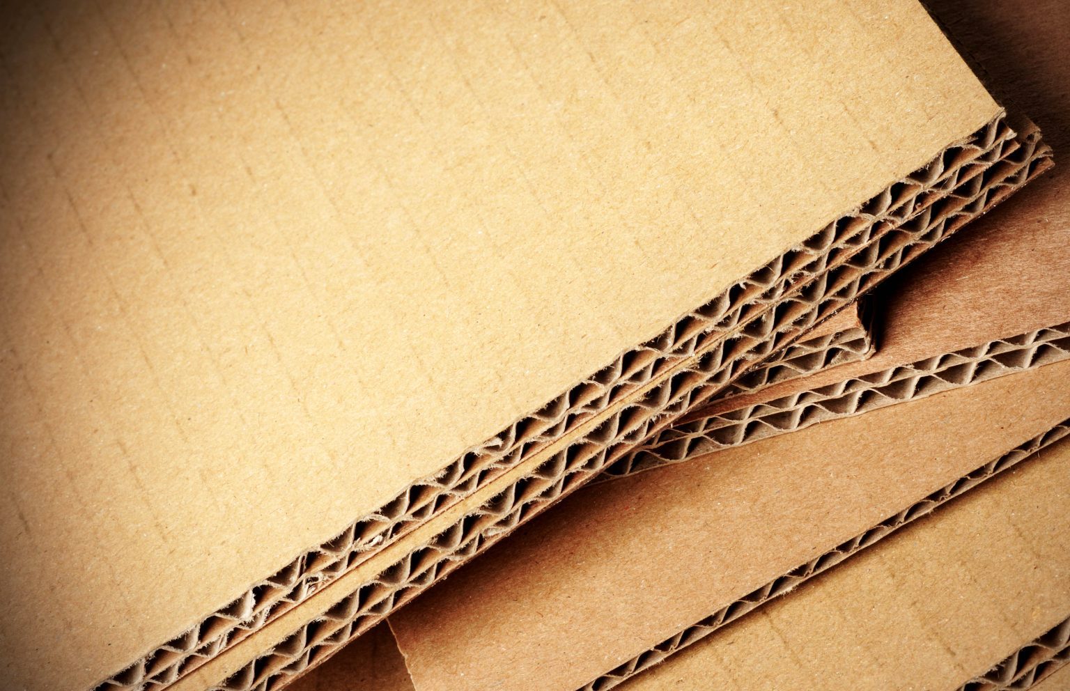 How to Shred Cardboard for Compost - Gardening Latest