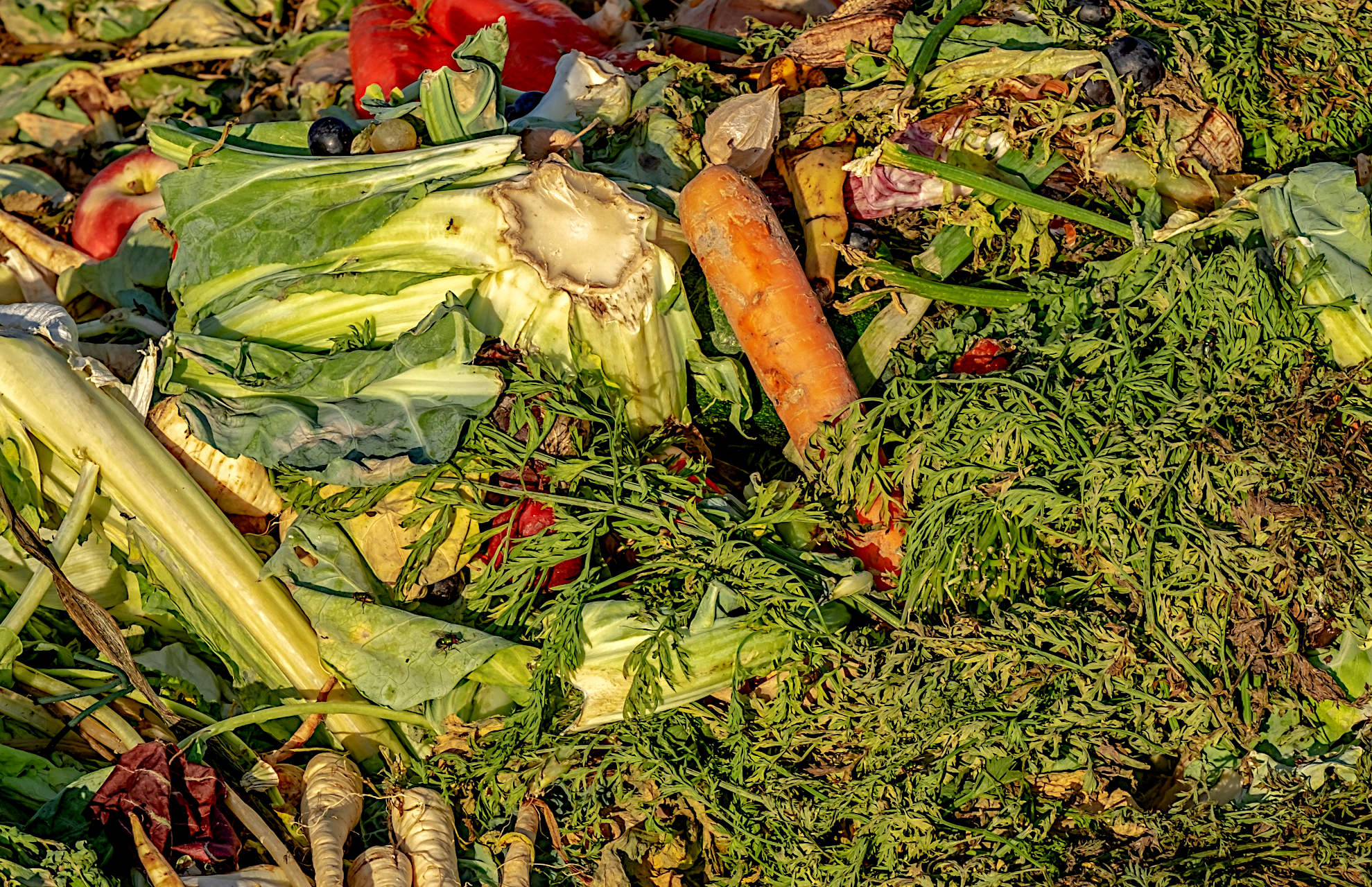 To Turn or Not to Turn: Passive Composting vs Active Composting ...