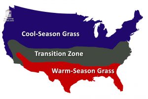 Grass Seed Germination Temperature: How Soil Temperature is Key