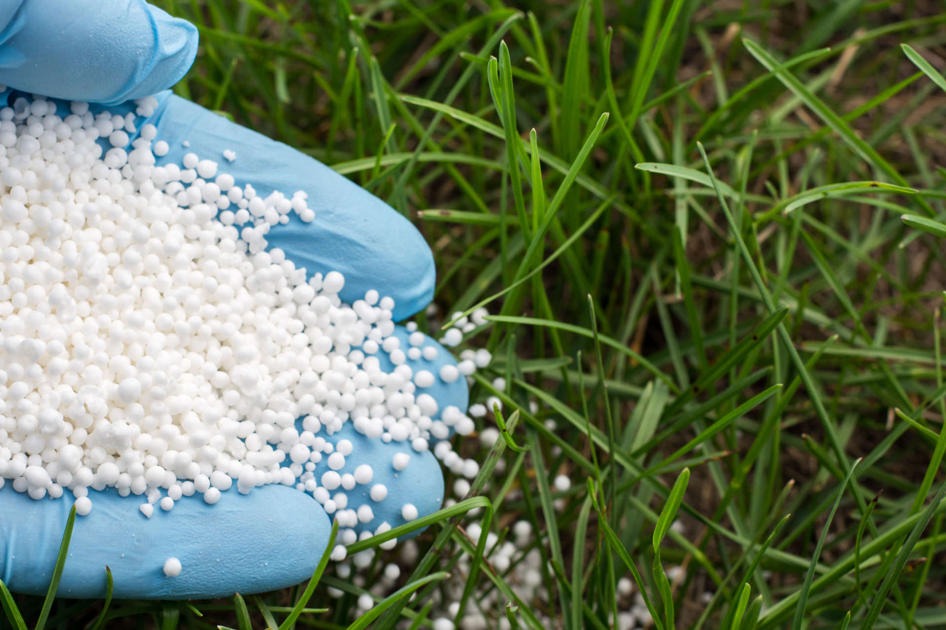 Compost vs Fertilizer - What Are the Differences - Gardening Latest