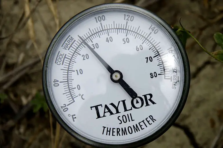 Grass Seed Germination Temperature: How Soil Temperature is Key