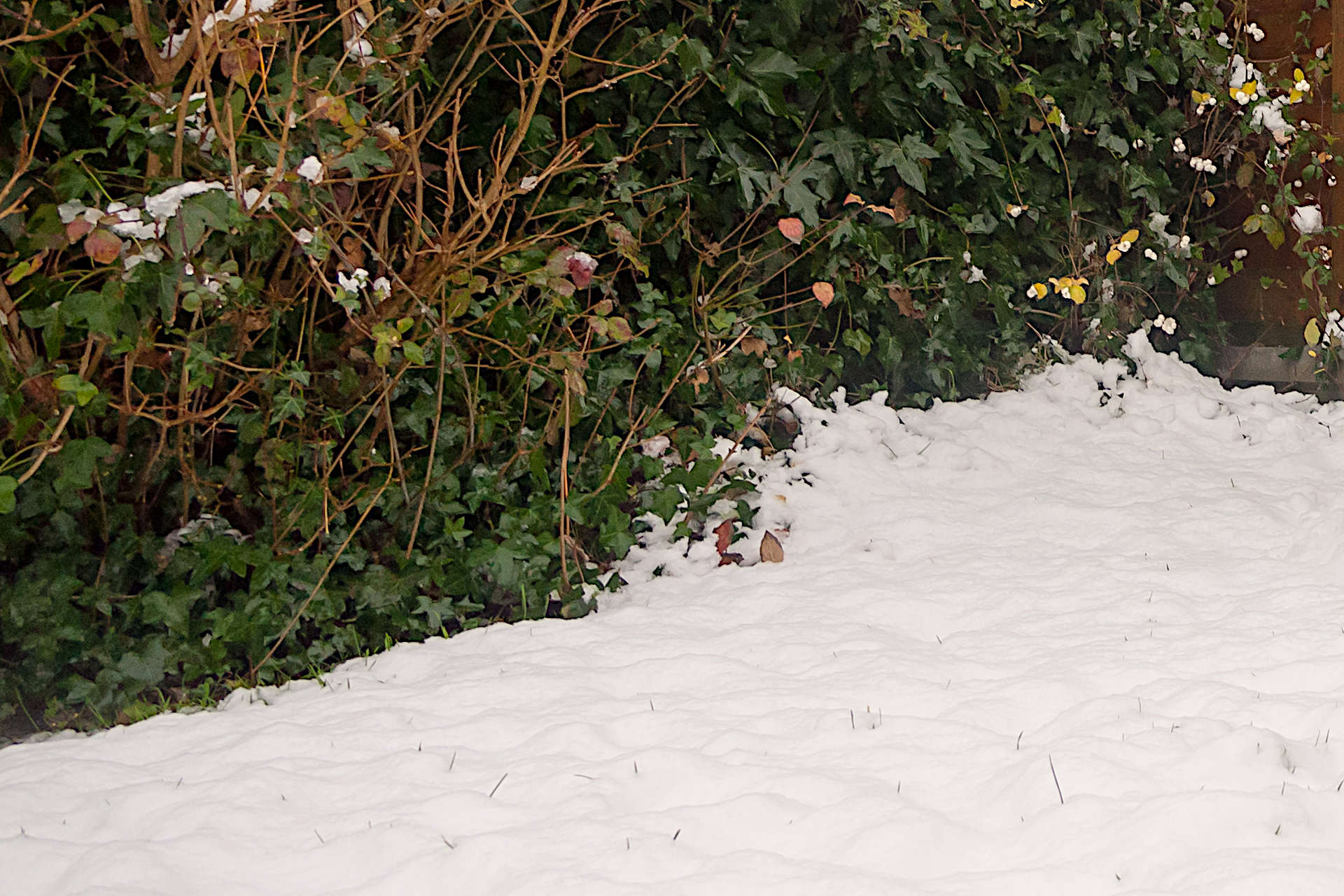 How Decomposition Slows Down In Cold Weather - Composting Basics ... How Decomposition Slows Down In Cold Weather - Composting Basics ...