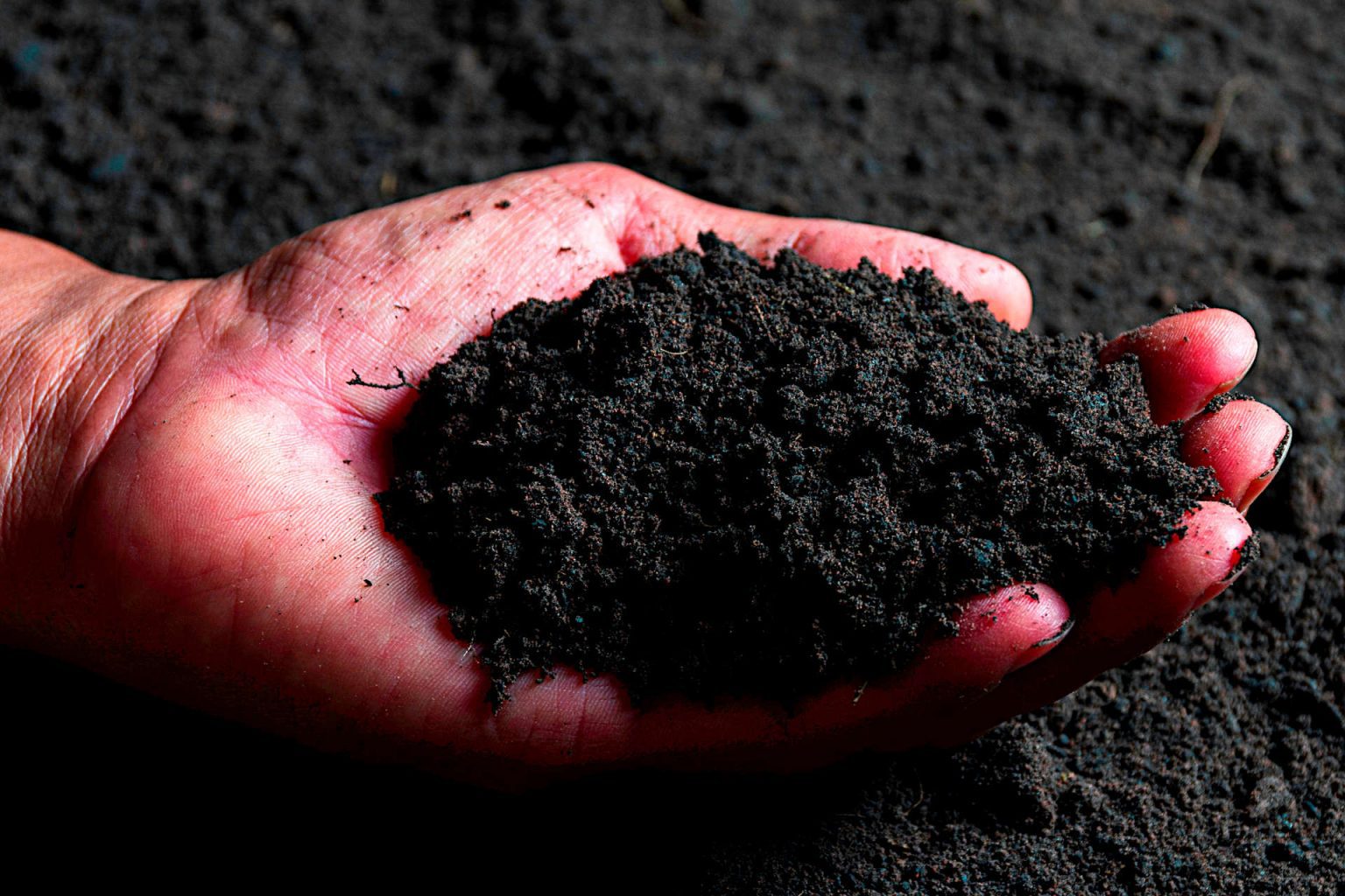 The Easy Way to Get The Right Compost Ratio of Browns to Greens ...