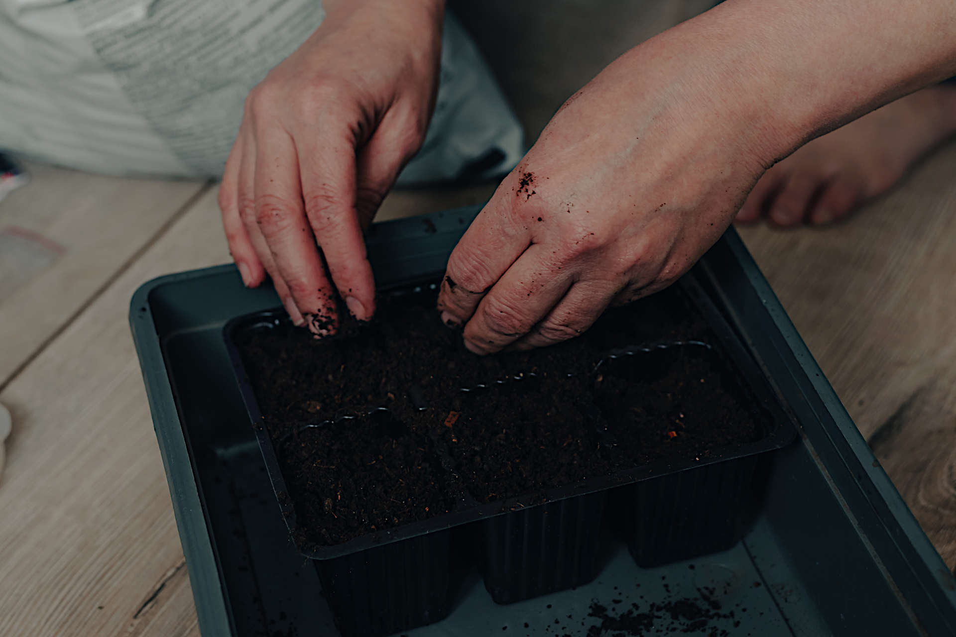 15 Gardening Tasks for January that Will Help Get Your Yard in Shape ...