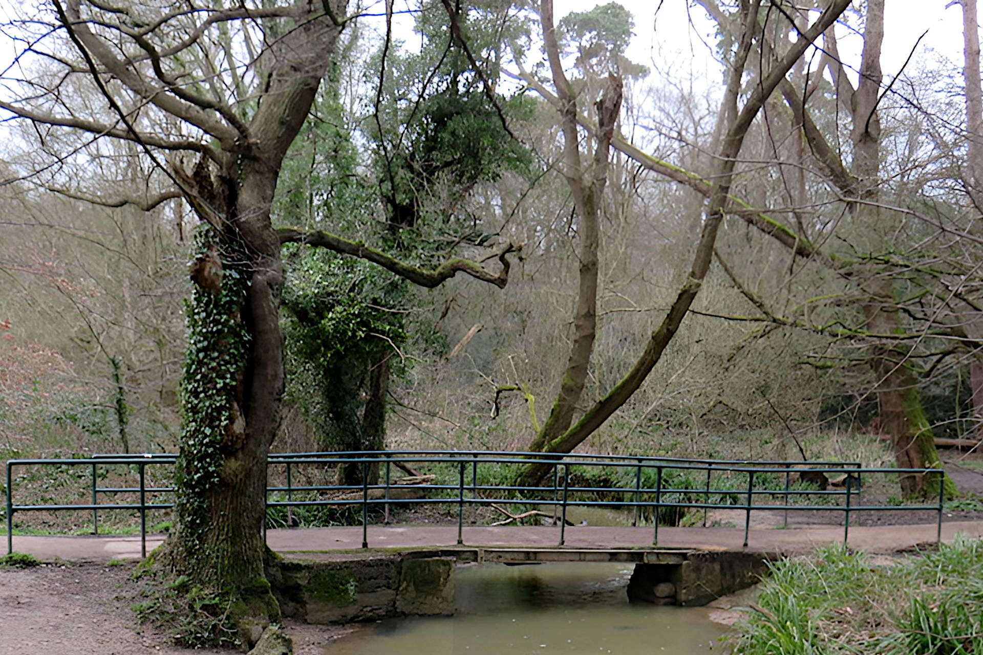The Silent Heroes of London: How Trees Are Quieting the Urban Roar ...