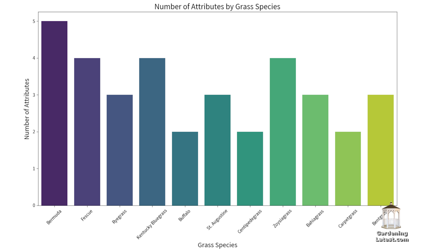 Mastering Hydroseeding: A Deep Dive into Grass Seed Selection and ...