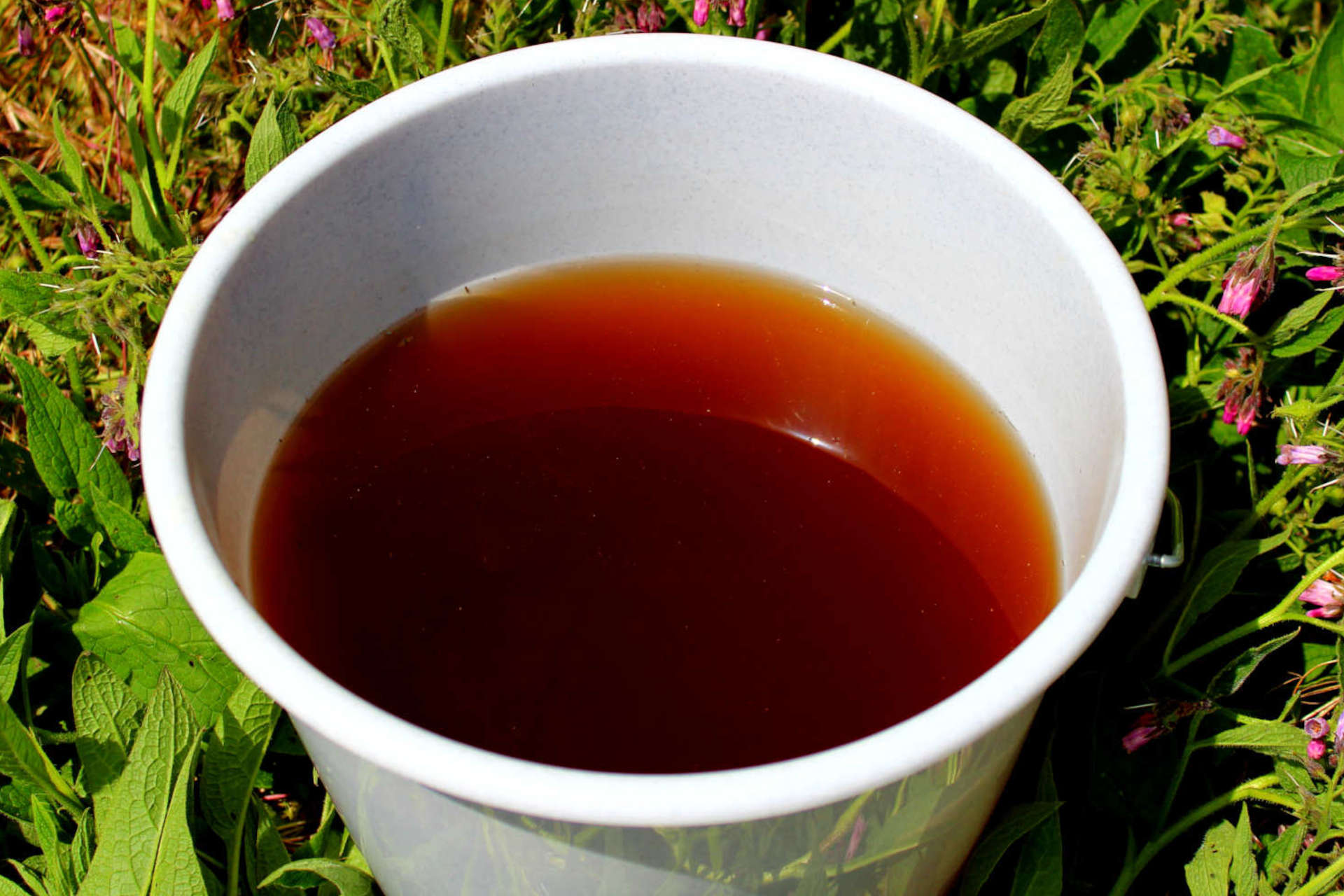 Benefits of Using Earthworm Castings for Your Lawn - Gardening Latest