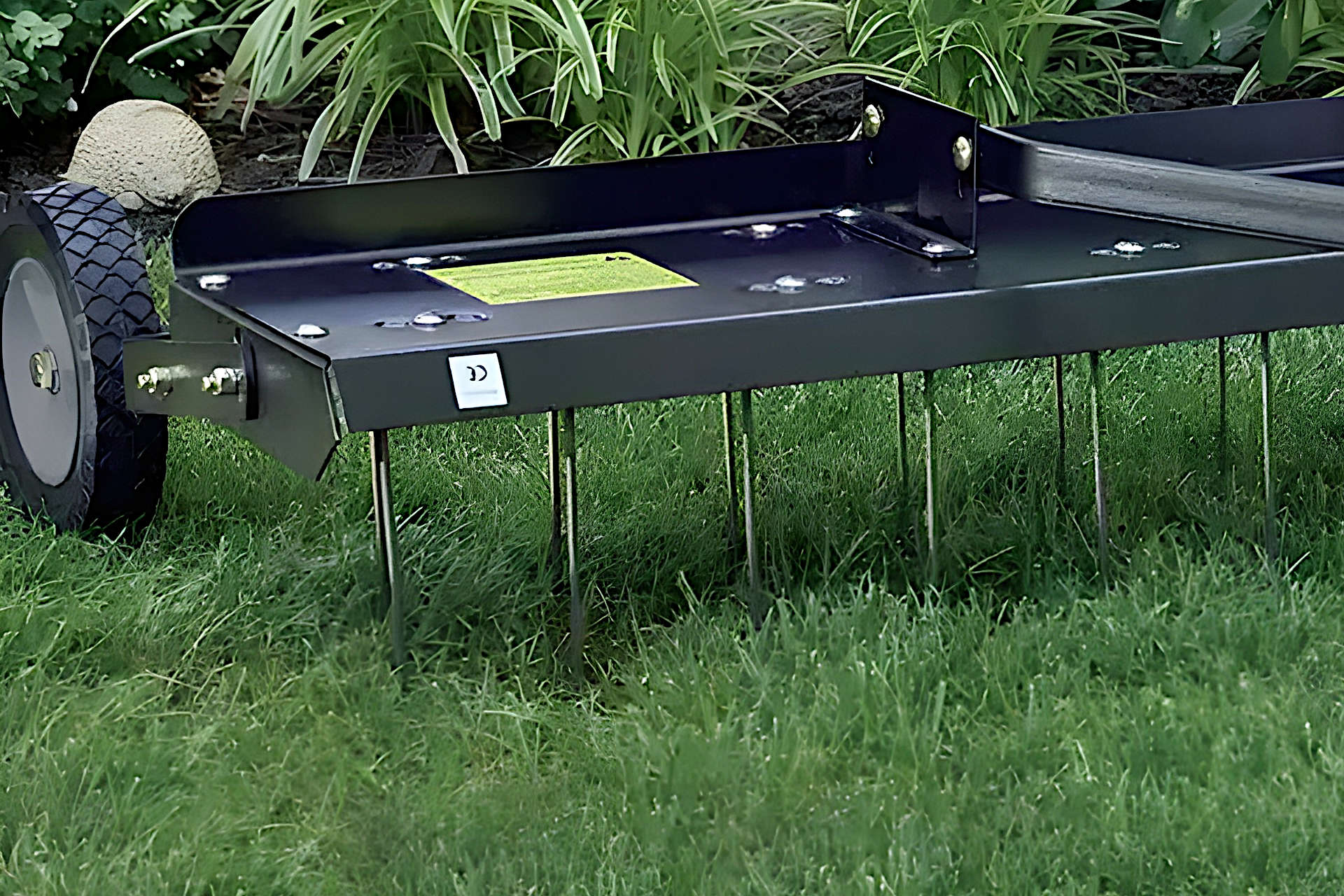 Dethatching St Augustine Grass: Unlocking Your Lawn's Potential ...