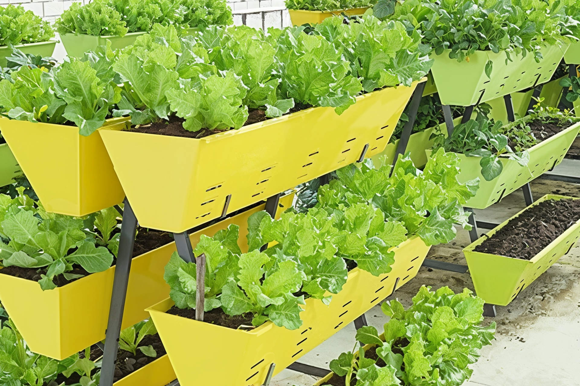 The Allure of Container Gardening: Unleashing a Garden Wherever You Are ...