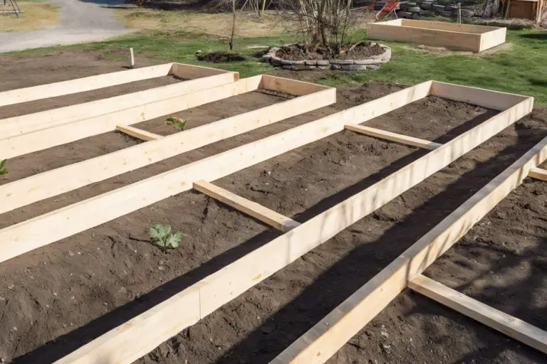 Metal Raised Garden Beds DIY: Forge a Chic Garden Look - Gardening Latest