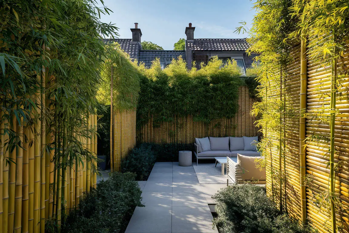 14 Creative Ways to Craft Your Backyard Privacy - Gardening Latest