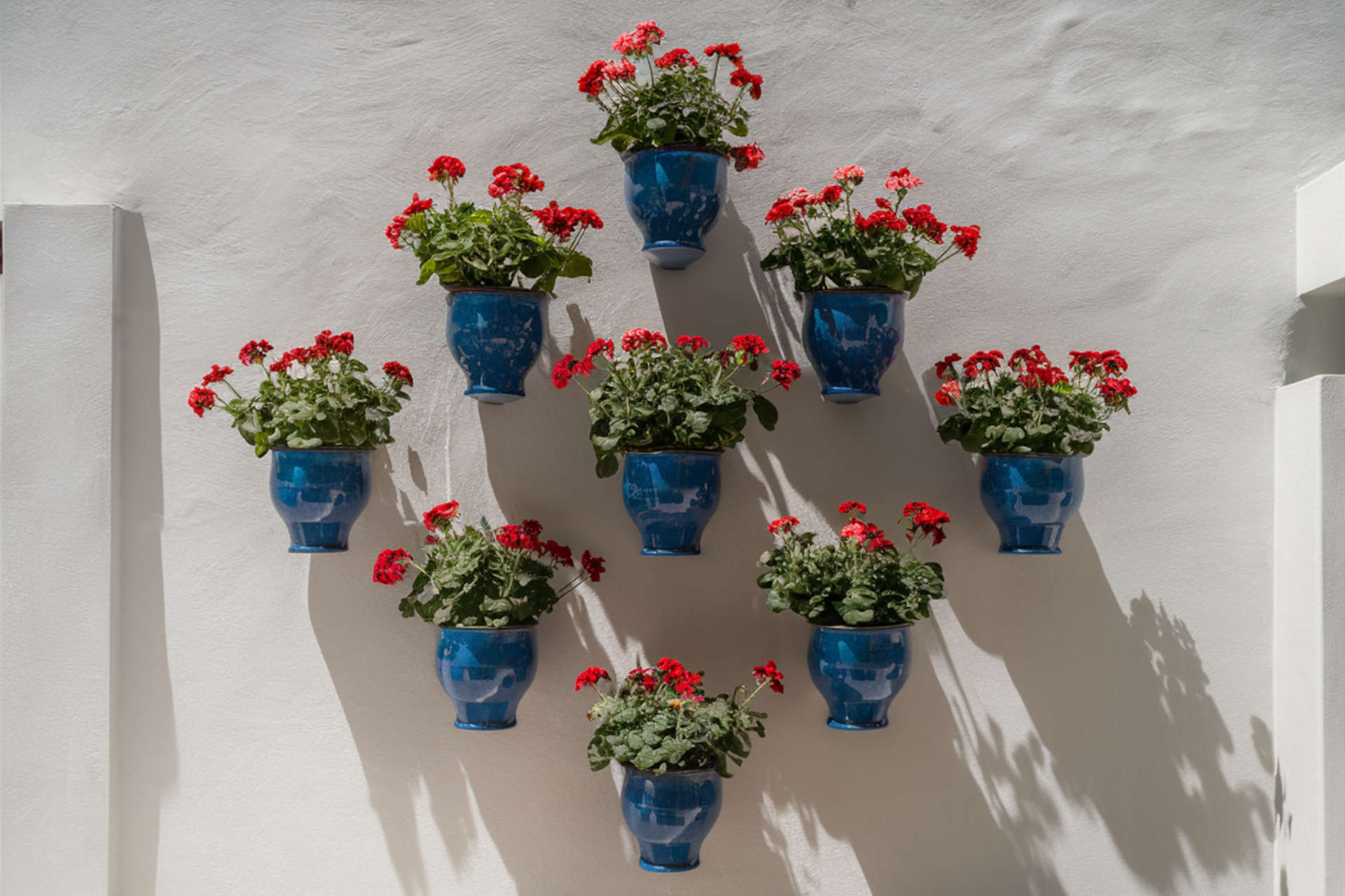 Choosing the Right Ceramic Pots for Your Plants: Indoor vs. Outdoor ...