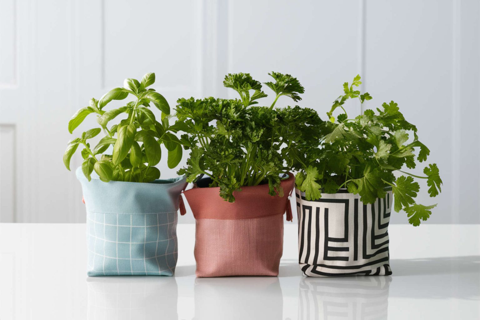 The Perfect Pot Ideas: Container Aesthetics that Are Good for Your ...