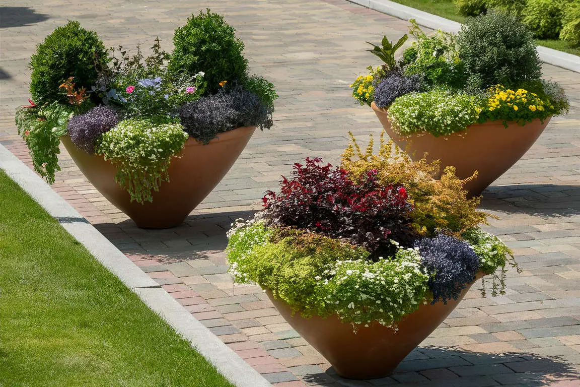 Stunning Large Pots: Ideas for Achieving the Perfect Aesthetic for ...