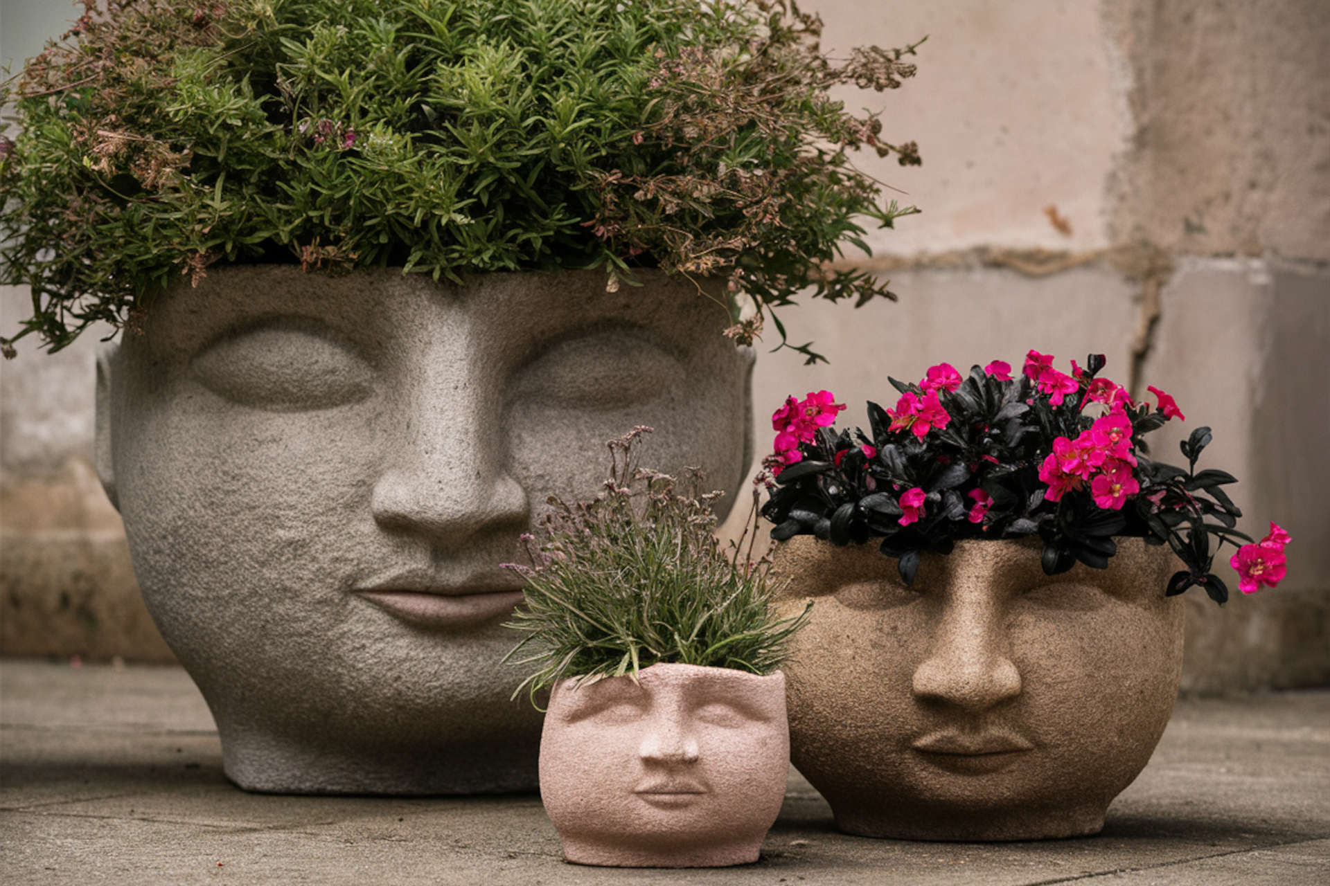 The Perfect Pot Ideas: Container Aesthetics that Are Good for Your ...
