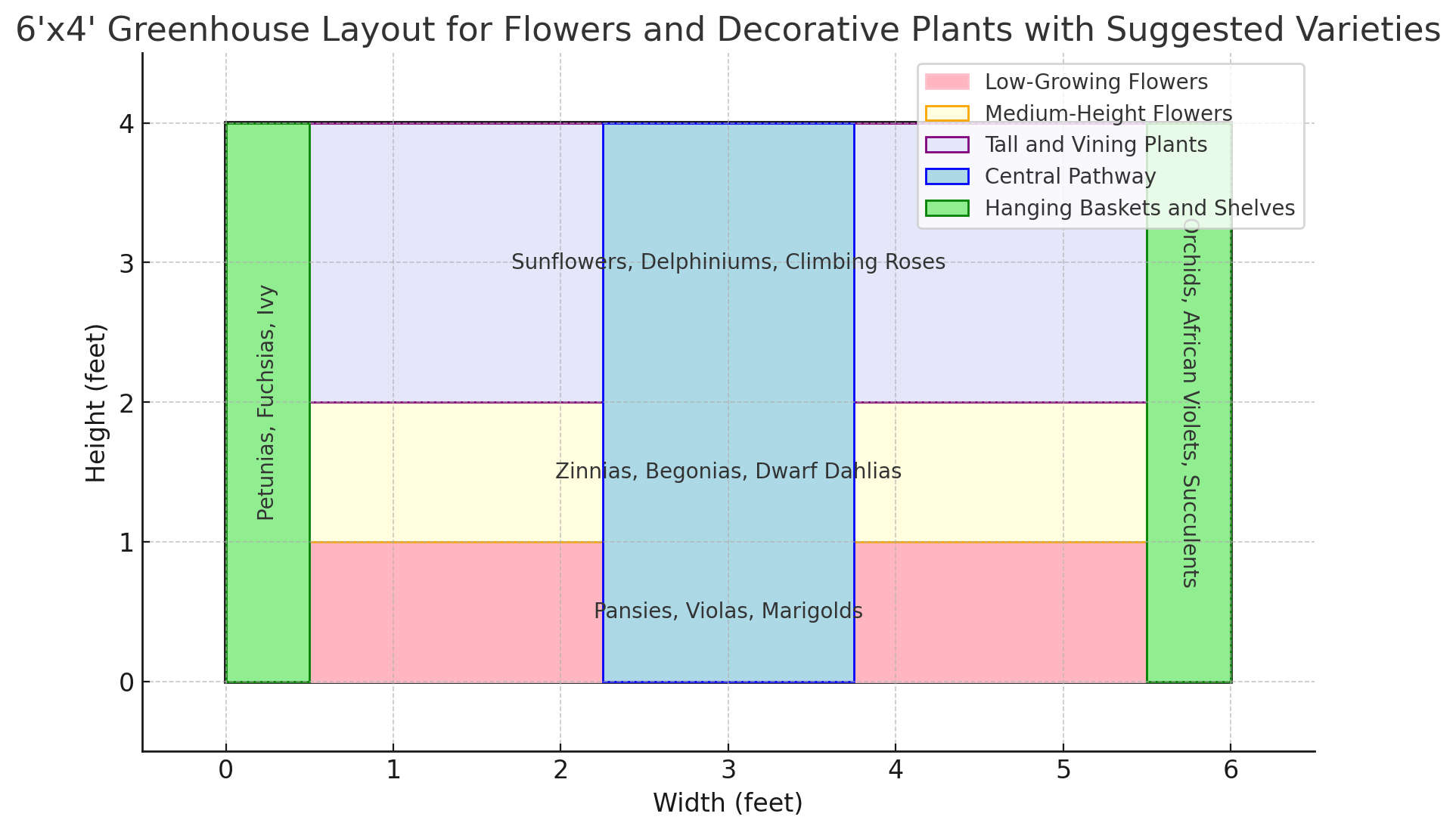 Small 6'x4' Greenhouse Layouts Focused on Vegetables - Gardening Latest