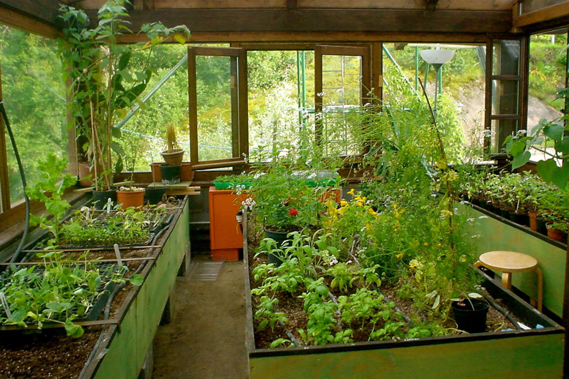 Greenhouses: How to Plan Your Layout - Gardening Latest