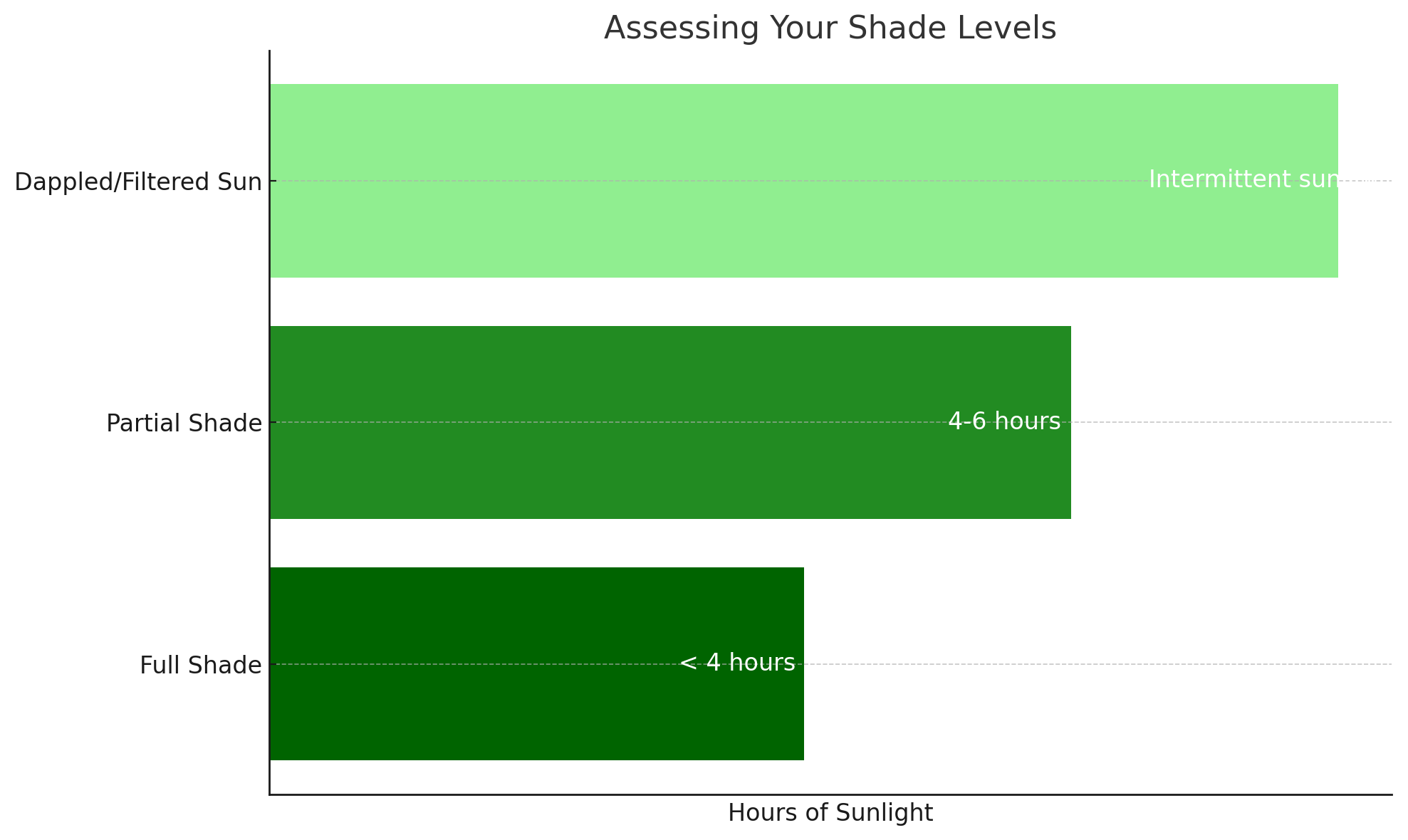 Choosing the Right Shade-Tolerant Perennials for Your Climate ...