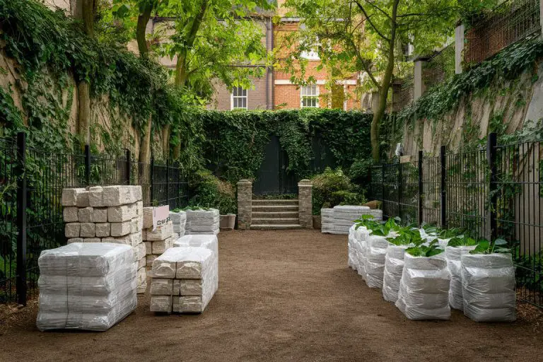 Creating a Cozy Garden Nook in Your Backyard: Your Own Personal Space ...