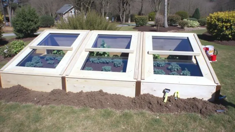 The Benefits of Cold Frames for Small-Scale Gardeners: A Beginner's ...