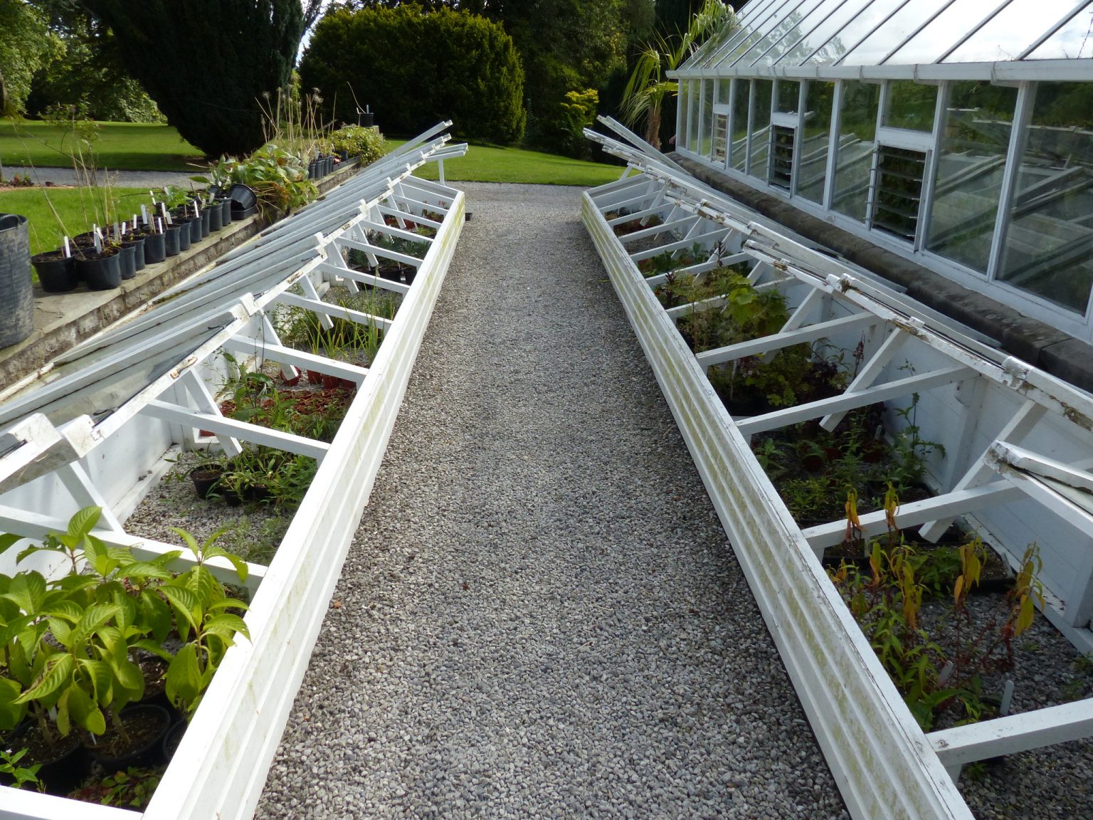 The Benefits of Cold Frames for Small-Scale Gardeners: A Beginner's ...