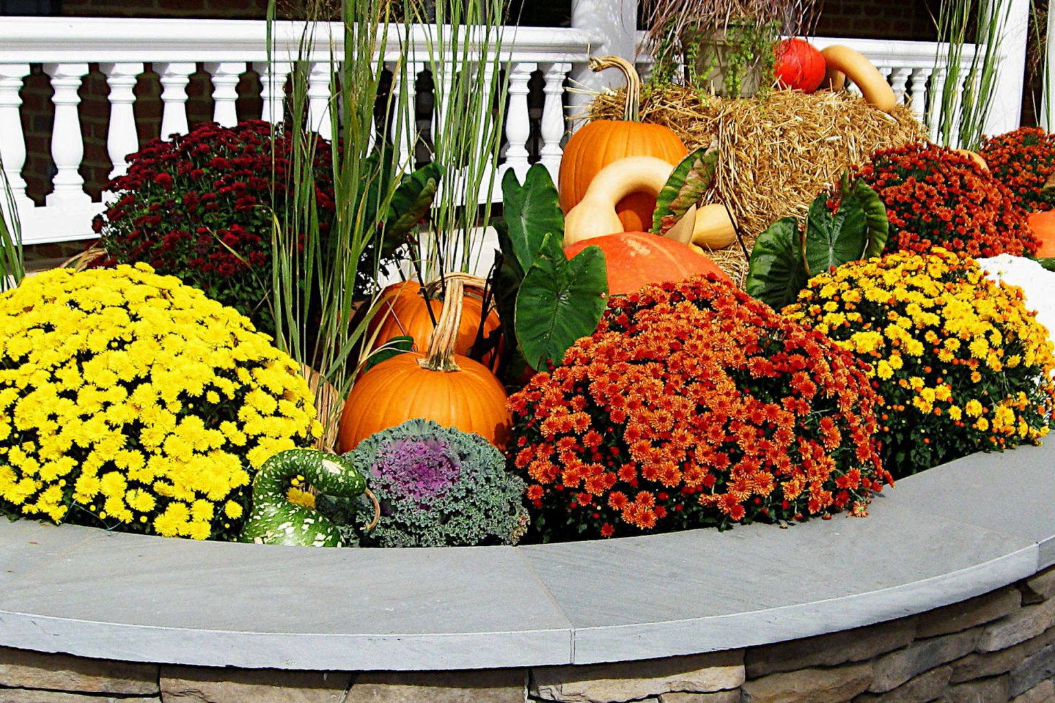 Fall Planting Guide: Tailoring Your Garden to Zones 6, 7, 8, and 9 ...