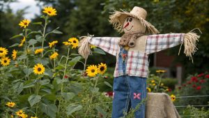 Creative Garden Scarecrow Ideas: DIY Projects to Protect and Beautify ...