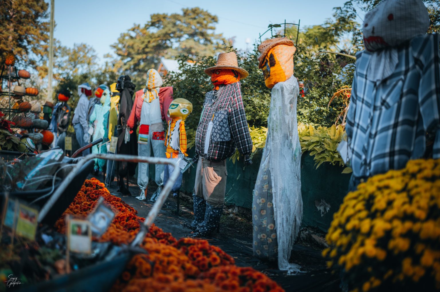Creative Garden Scarecrow Ideas: DIY Projects to Protect and Beautify ...