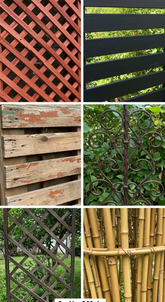 Privacy Please! Using Garden Trellises as Attractive Screens & Dividers ...