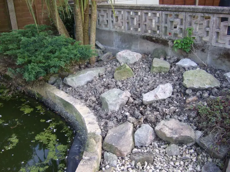 Designing the Perfect Rock Garden for your Outdoor Space - Gardening Latest
