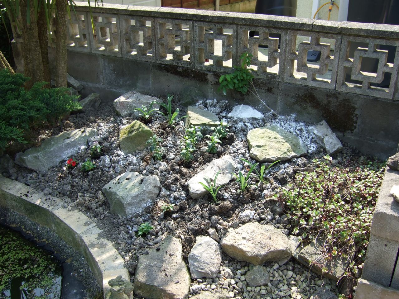 Designing the Perfect Rock Garden for your Outdoor Space - Gardening Latest