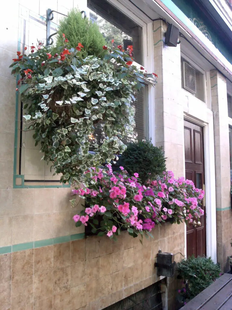 Inspiring Window Box Ideas for Every Style - Gardening Latest