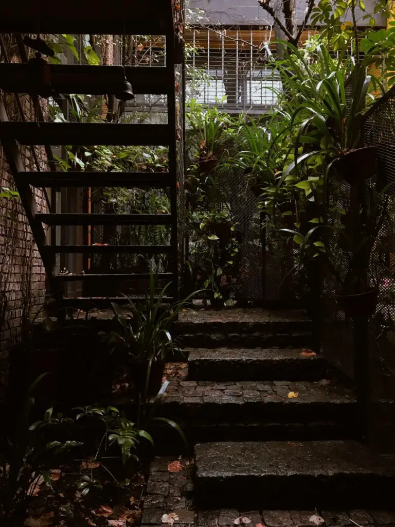 Beyond the Ivy: An Introduction to the Dark Academia Garden Aesthetic ...